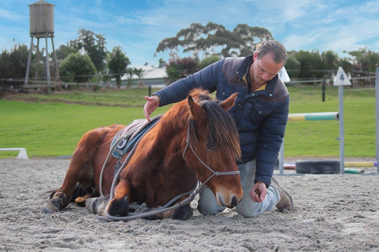 Redcliffs Equestrian