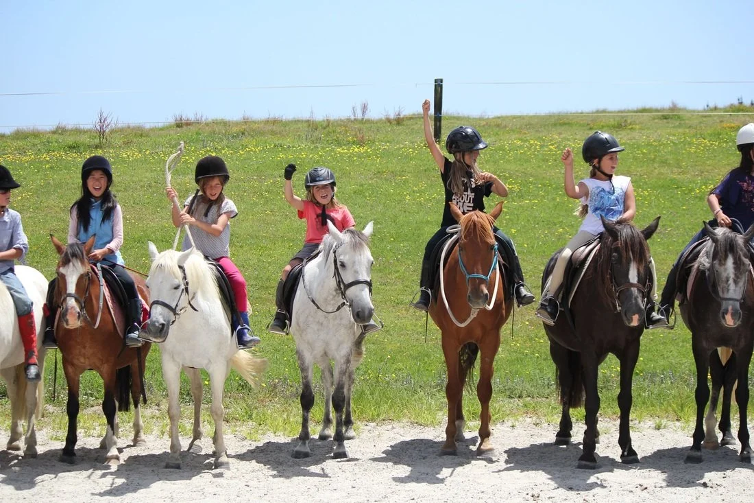 Redcliffs Equestrian