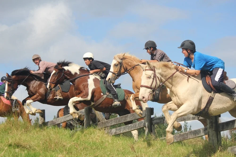 Redcliffs Equestrian