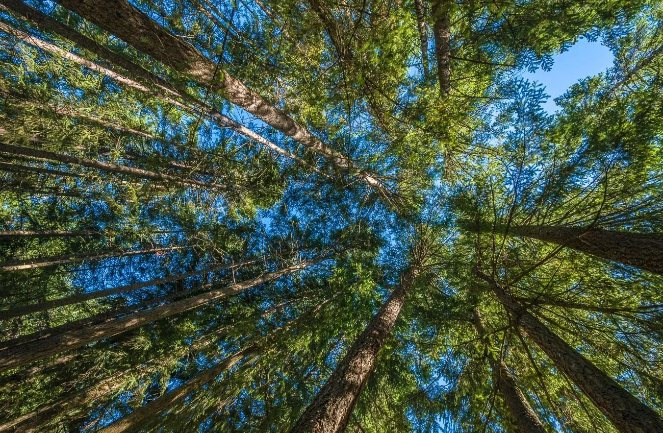 General 2 — Cedars Recovery