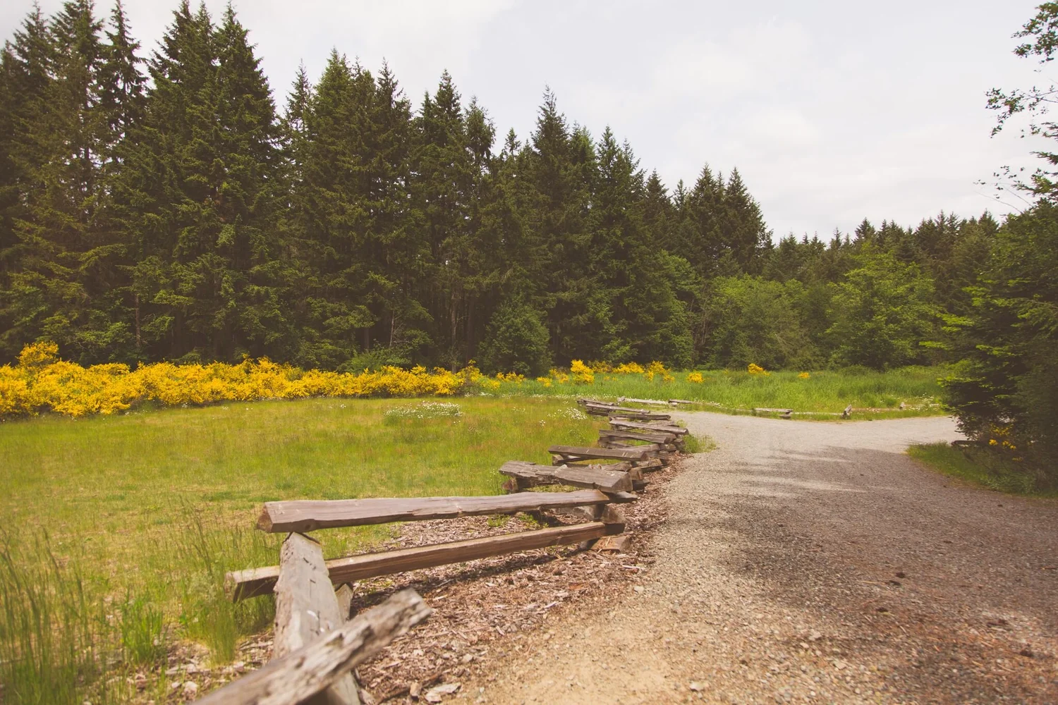 Photo Gallery — Cedars Recovery