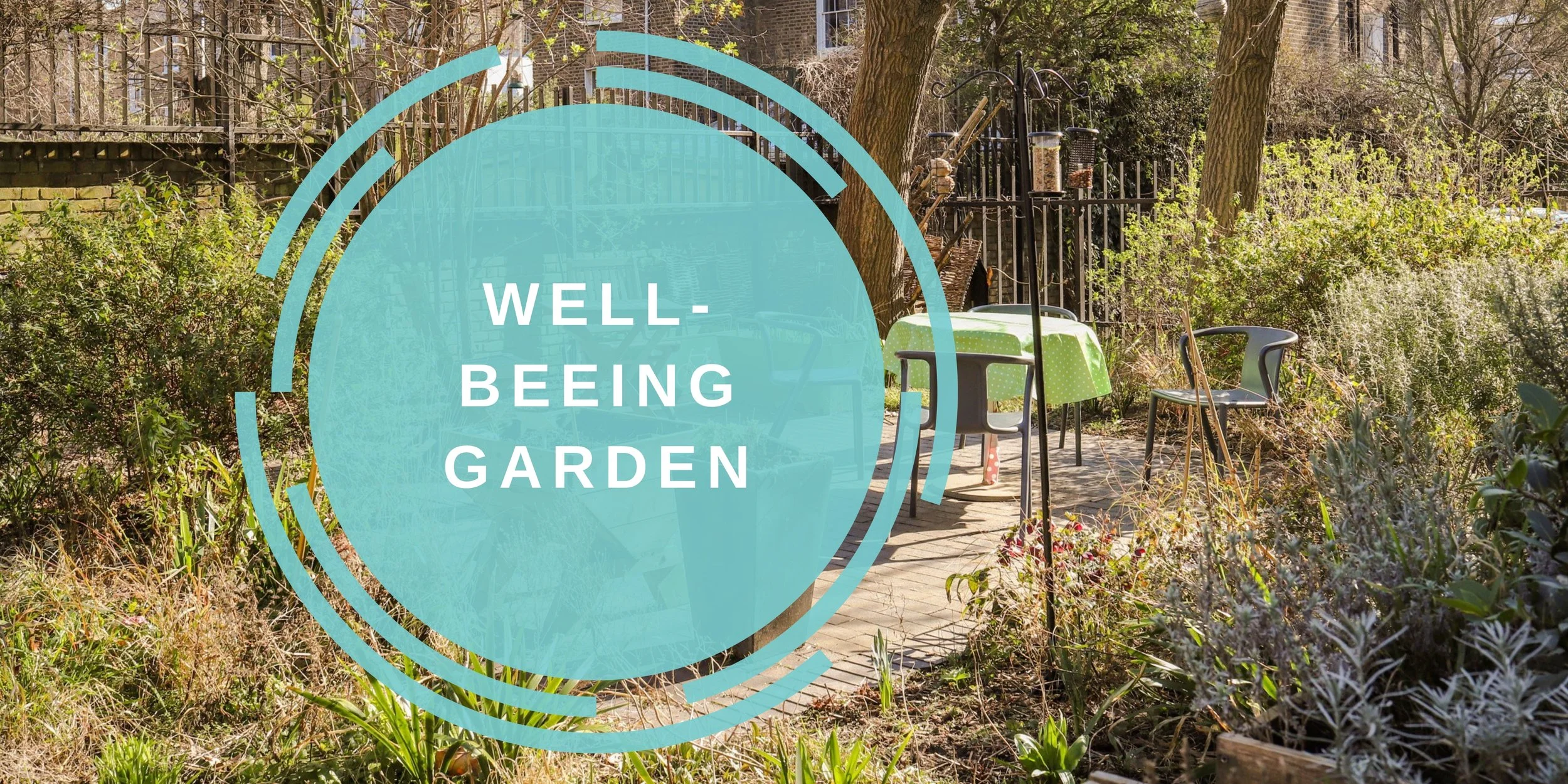 Creative Health Camden— Projects