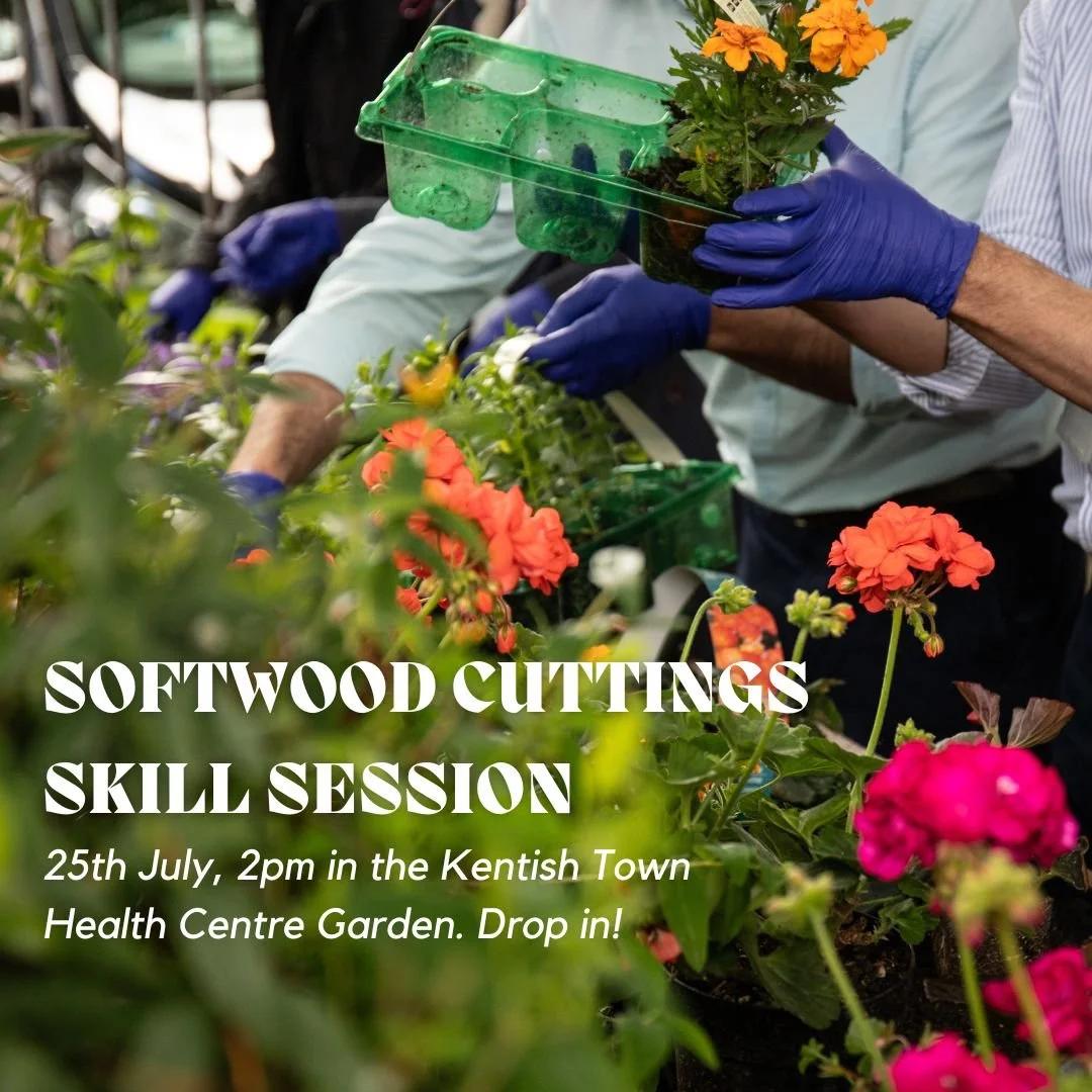 Creative Health Camden — Home