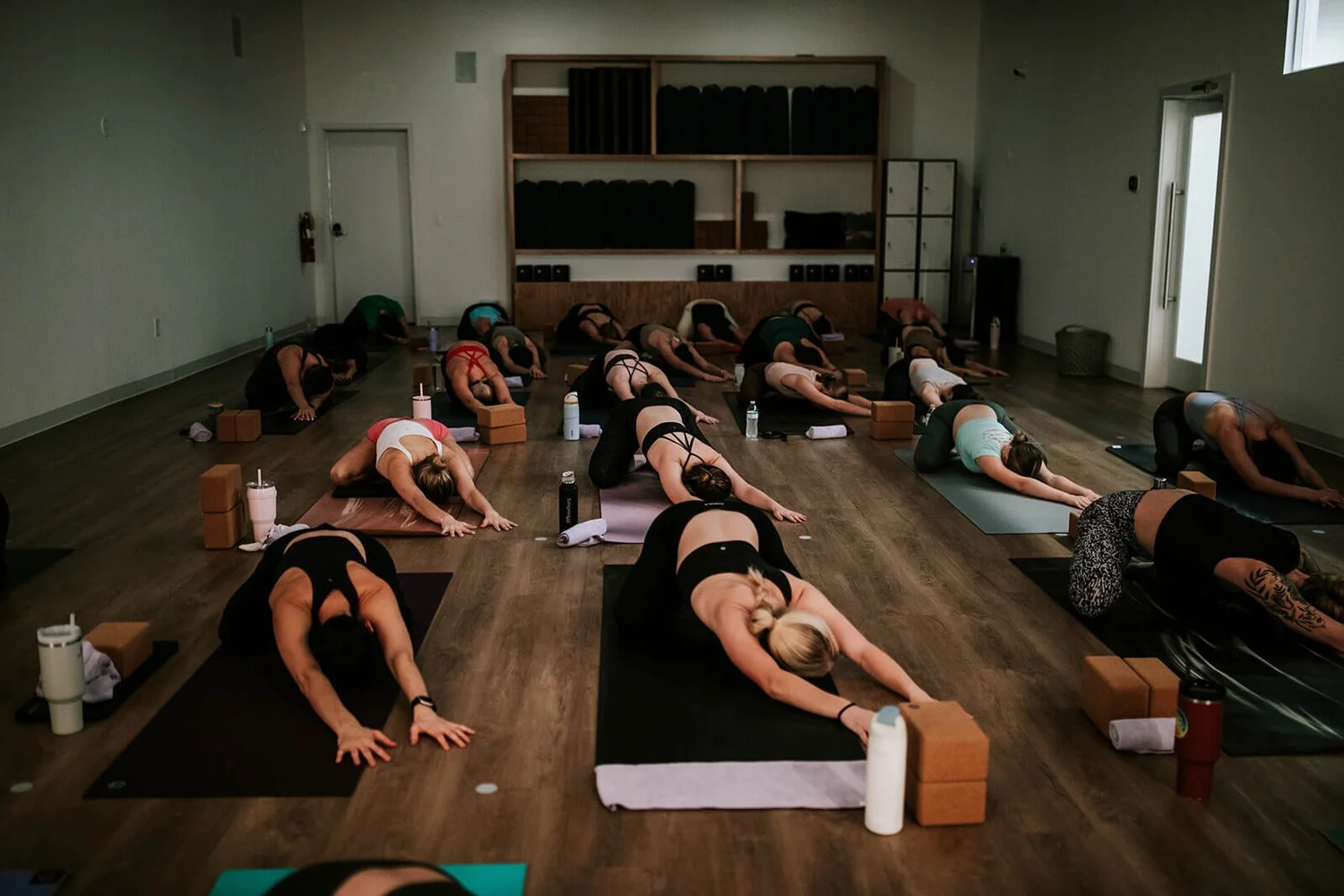 Book a Class at Lotus Yoga — Lotus Yoga & Wellness Studio