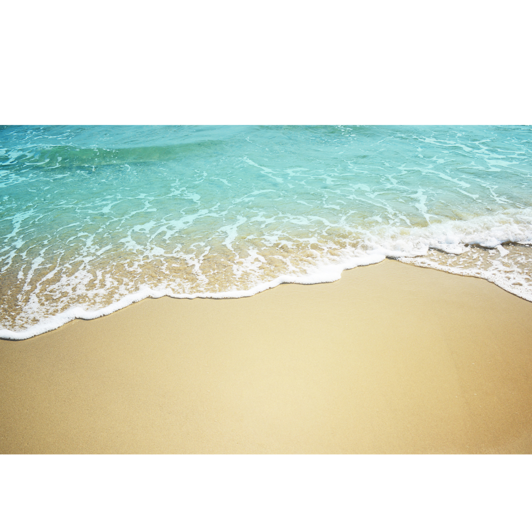 DataFlow Solutions by Traverse — Traverse Automation