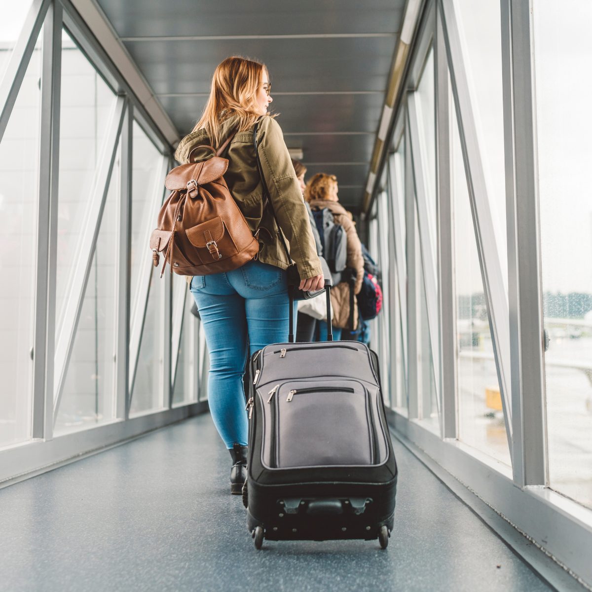 Say Goodbye to Advanced Passenger Information Management Hassles with ...