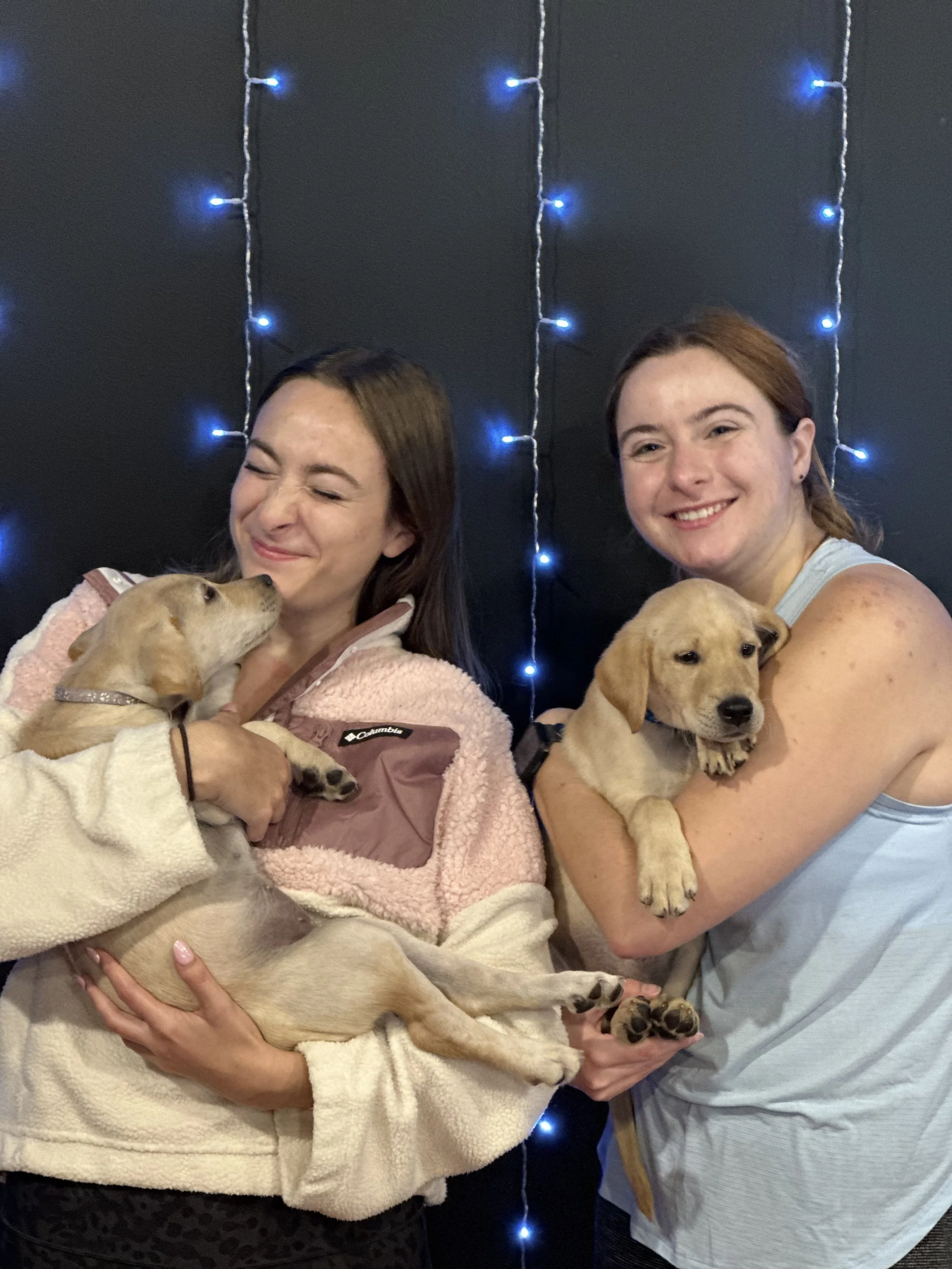 Inner Diva Studios - Austin's Largest Pole Dance & Aerial Studio