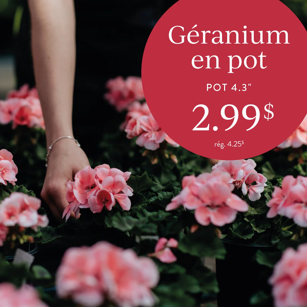 Notre histoire — La Ferme Grover Inc.