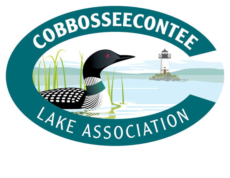 RSVP White Duck Party + Live Auction 2026 | Cobbosseecontee Lake ...