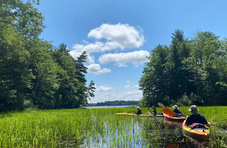 Cobbosseecontee Lake Association | Central Maine