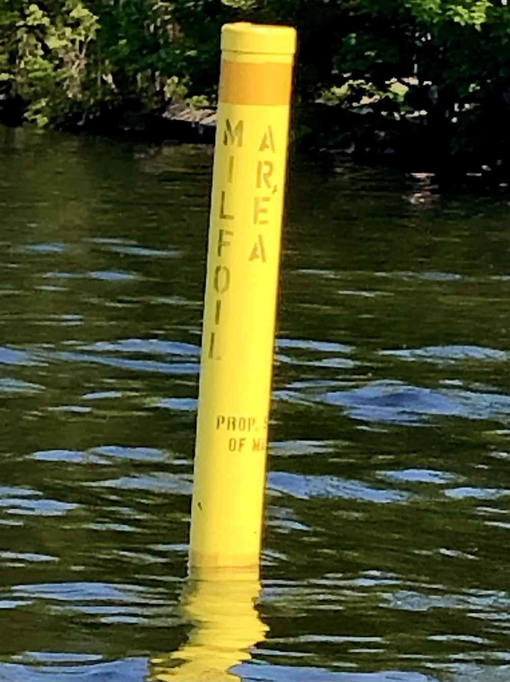 Buoys & Markers | Cobbosseecontee Lake Association