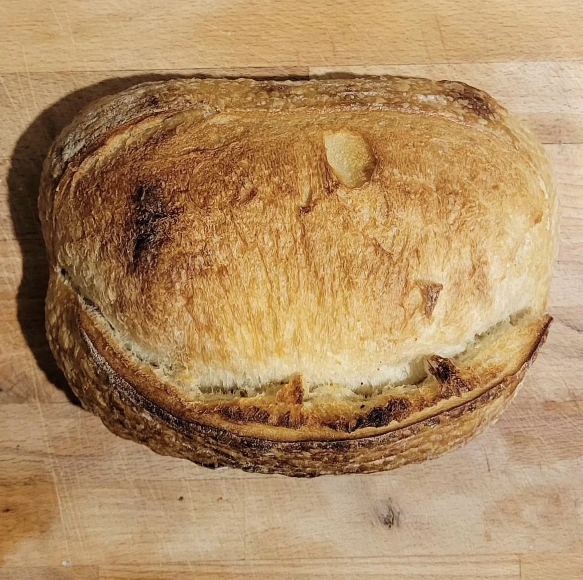 About — Moonlight Baking Company