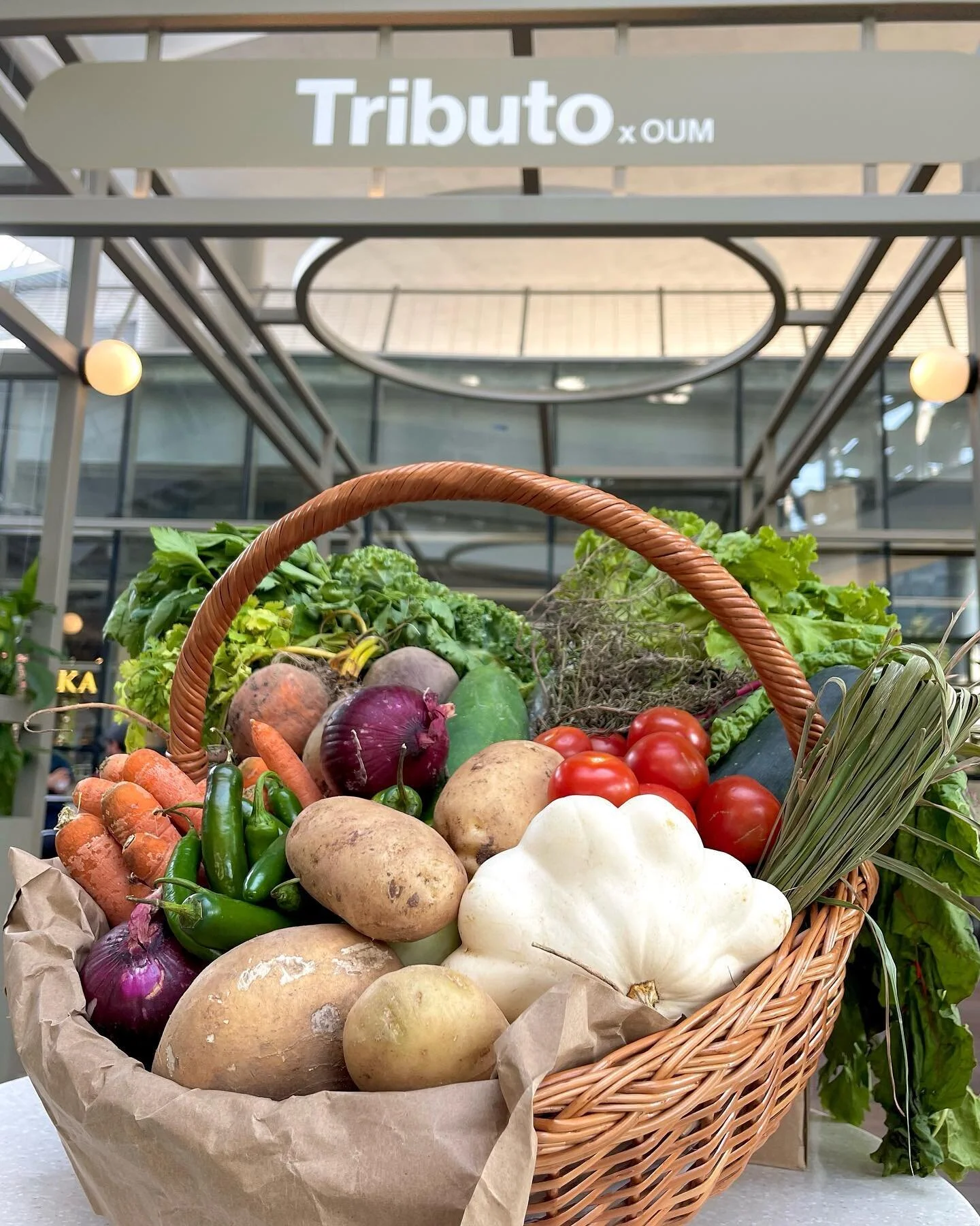 Calma Spa x Oum Wellness Center