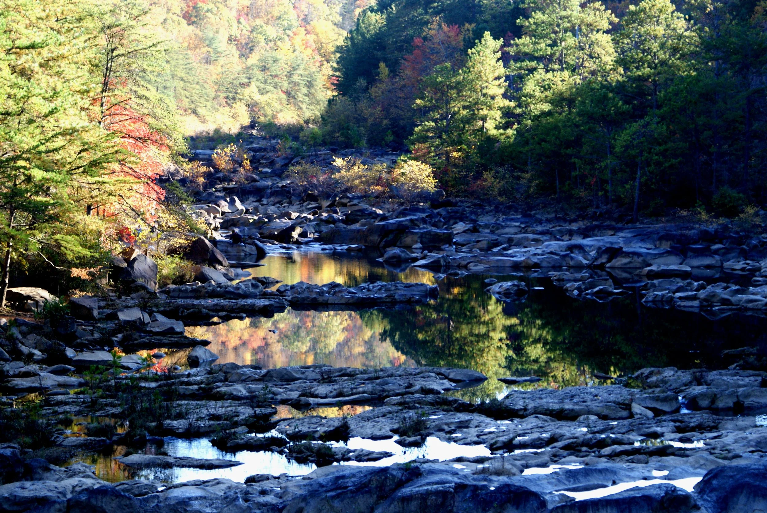 Tellico Plains Loop — Scenic City Backroads