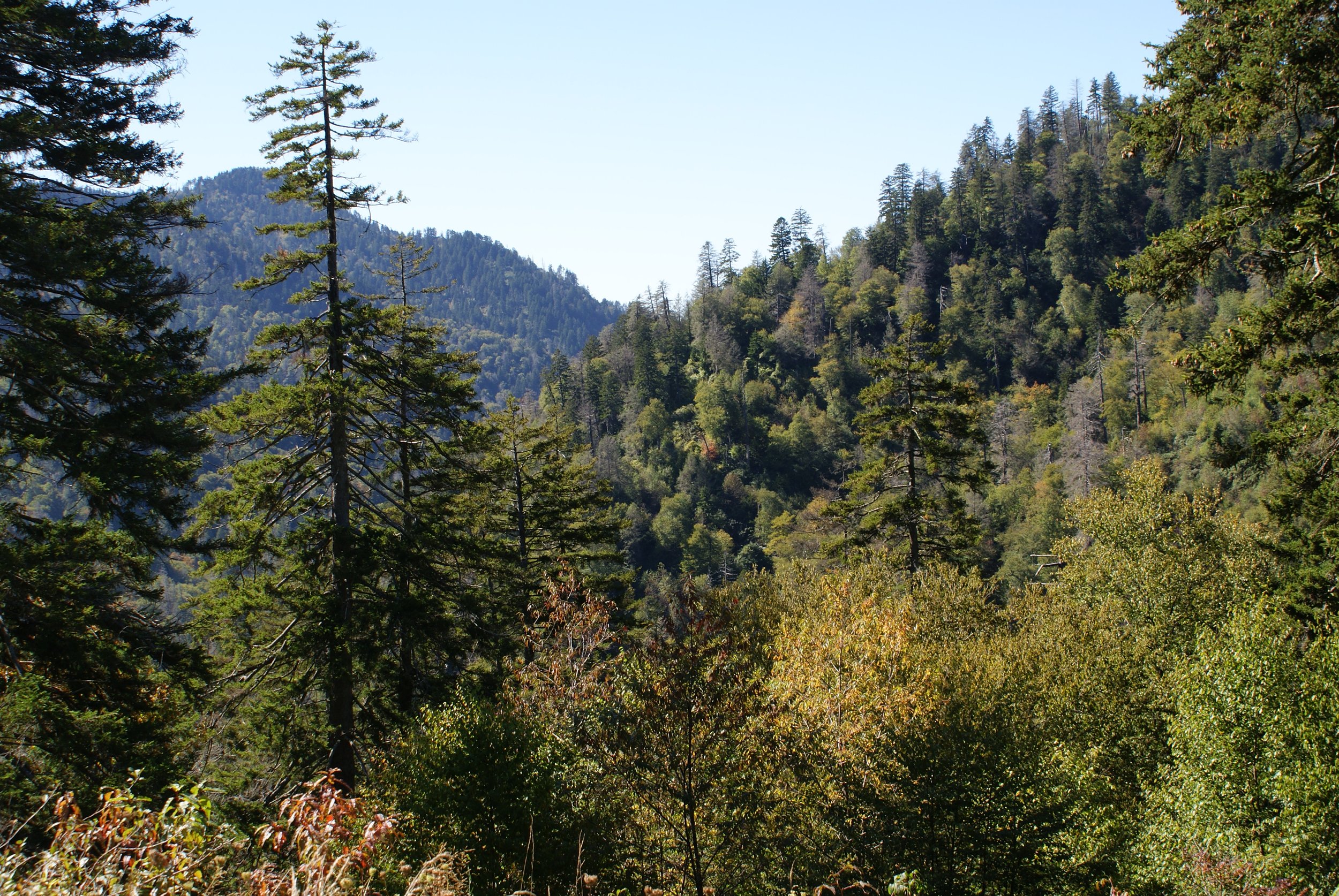 Daus Mountain Loop — Scenic City Backroads