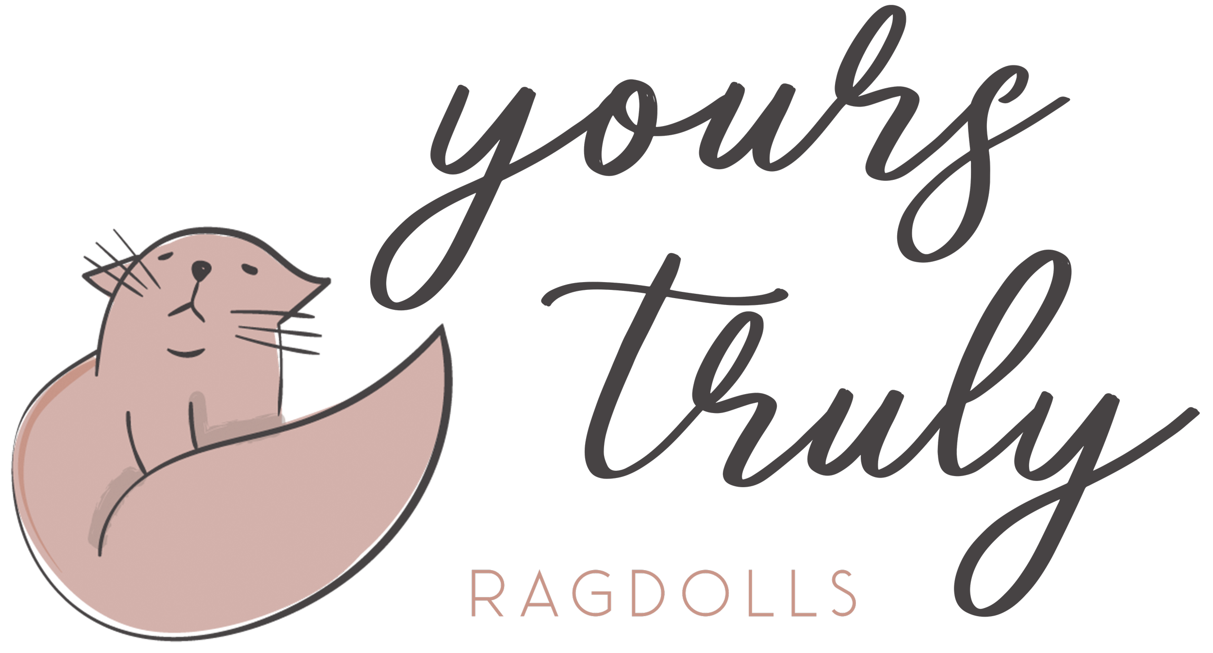 Ragdoll Logo Ragdoll Logo