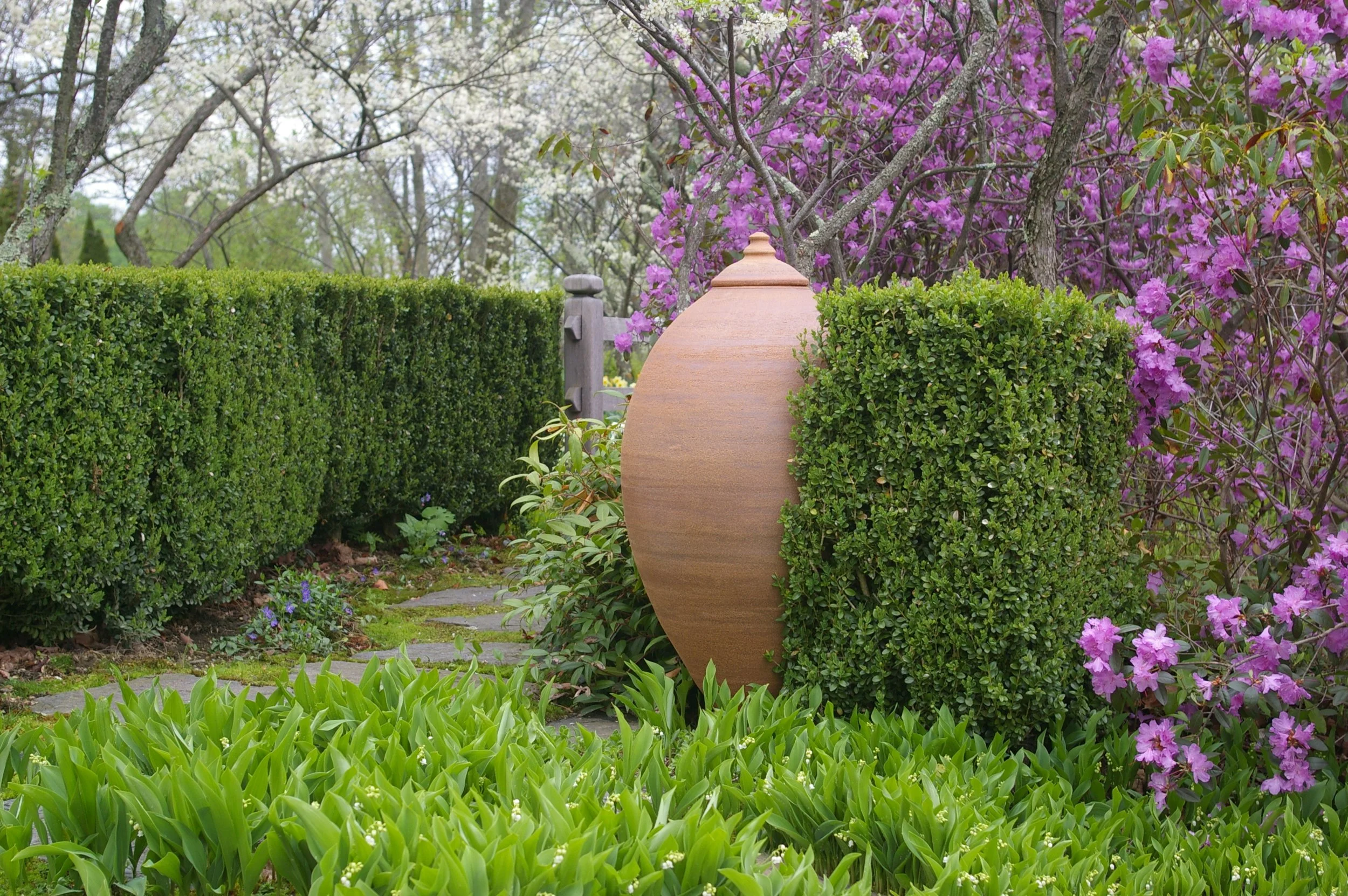 Stephen Procter Studios