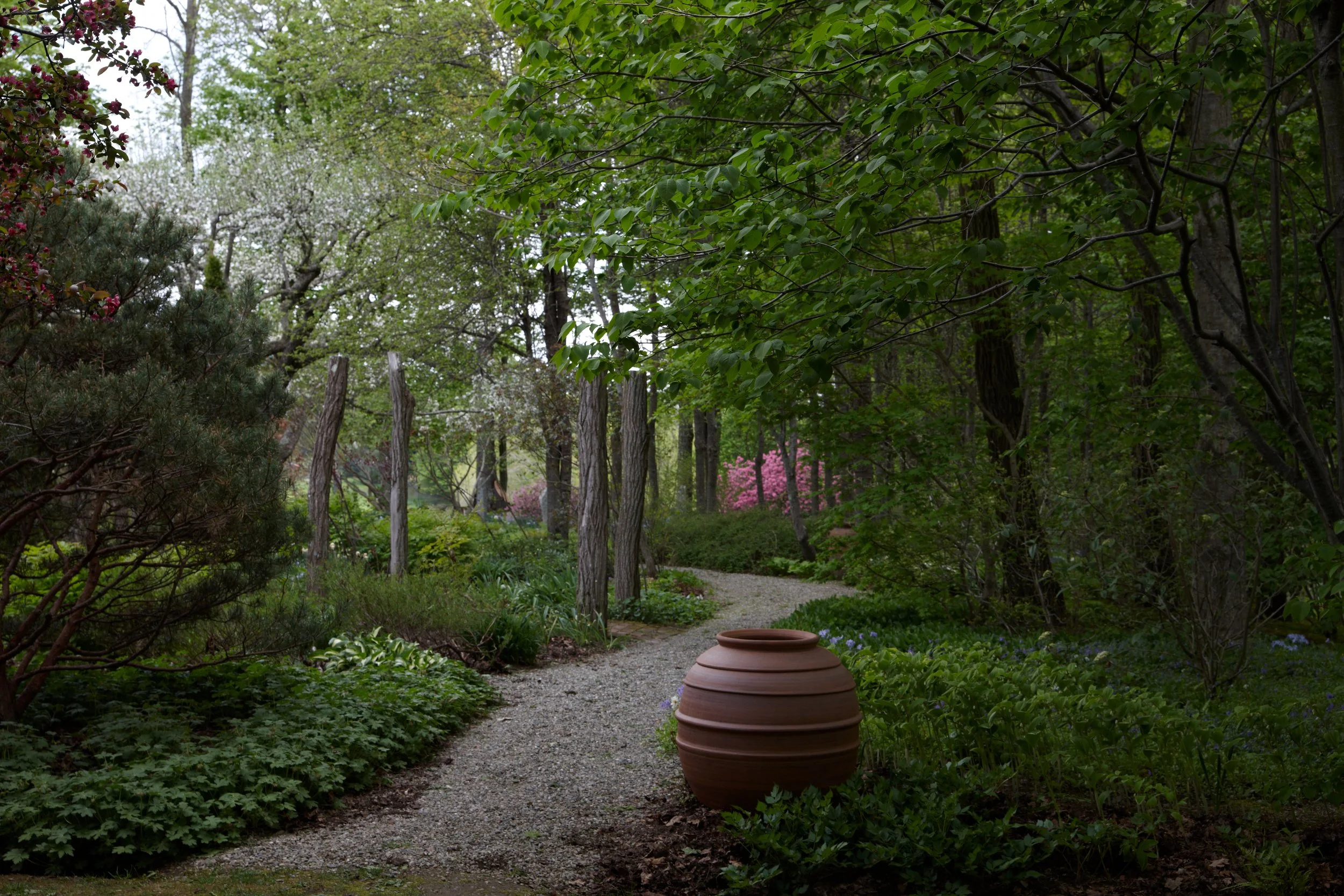 Stephen Procter Studios