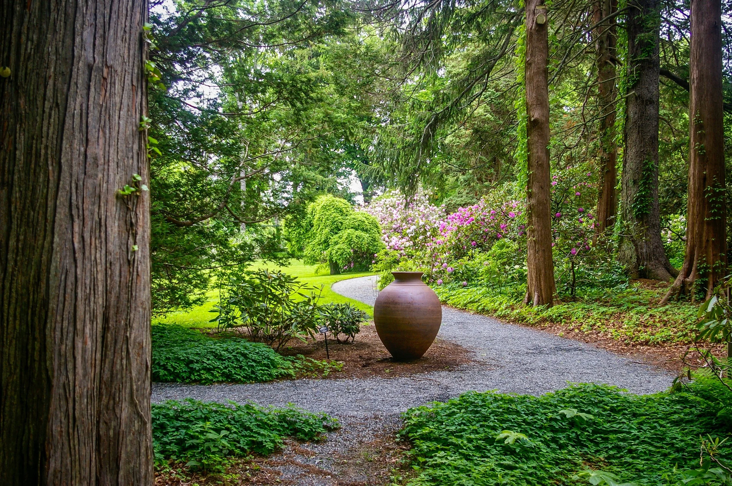 Catalog — Stephen Procter Studios