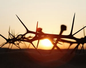 Why Grace Changes Everything, Part 4: Forgiven! — Calvary Chapel Magazine