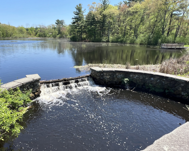 Transforming Spring Brook Park and Memorial Pond — Destination Downtown