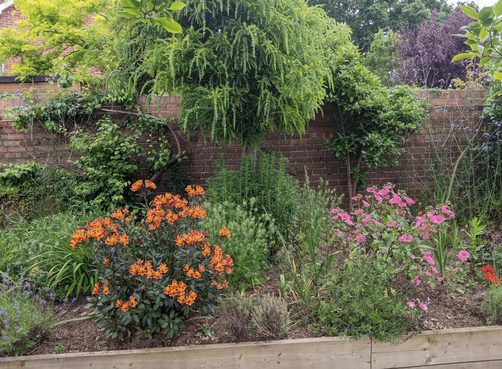 Exmouth Garden Club