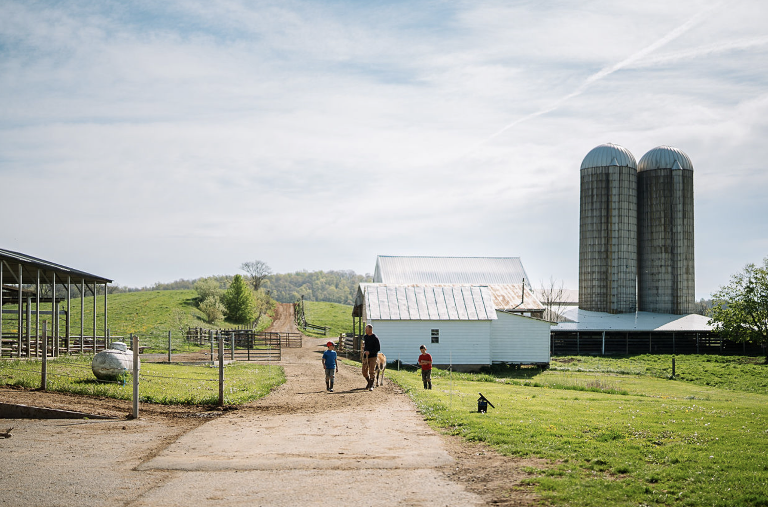 Our Most-Asked Questions — Creambrook Farm