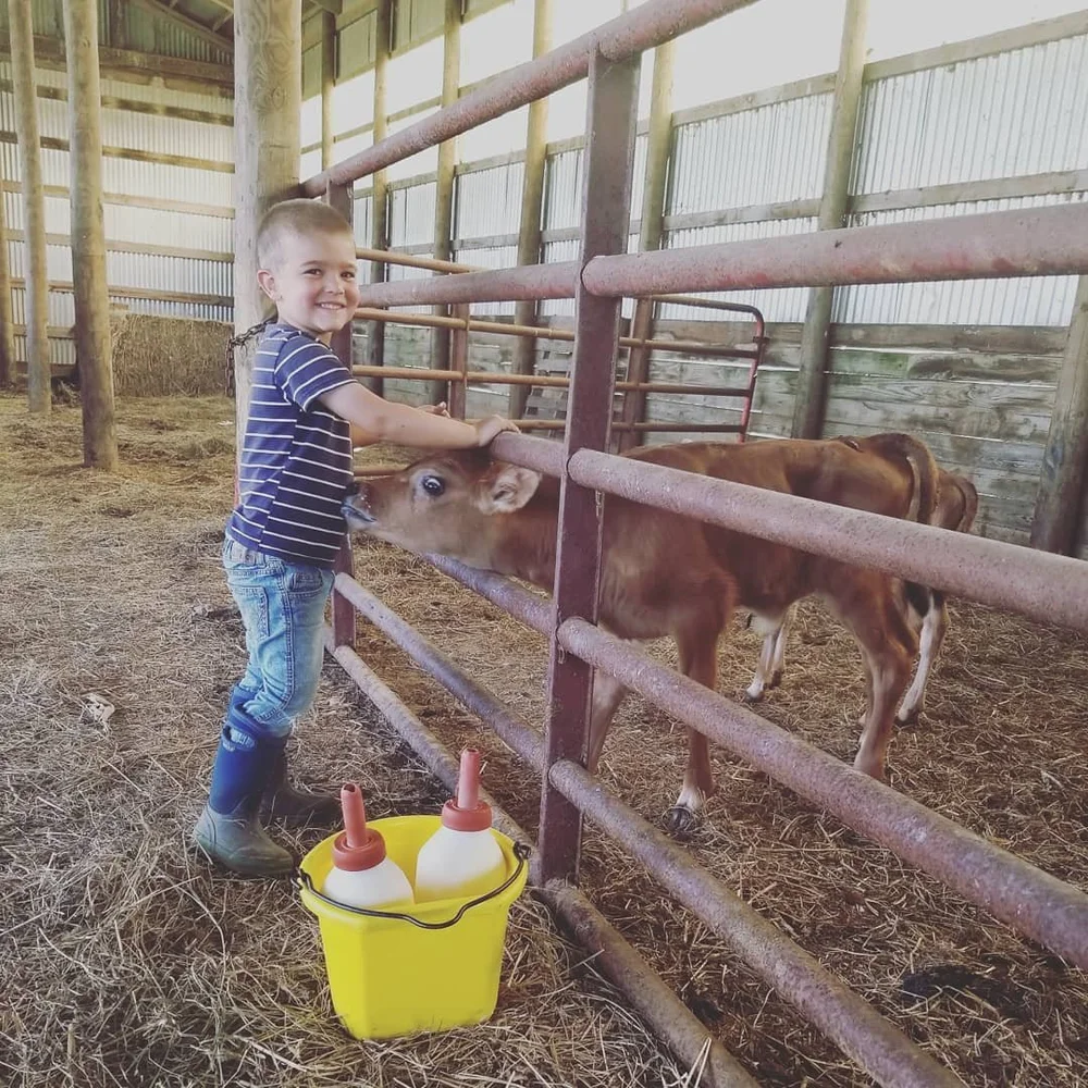 Our Story — Creambrook Farm