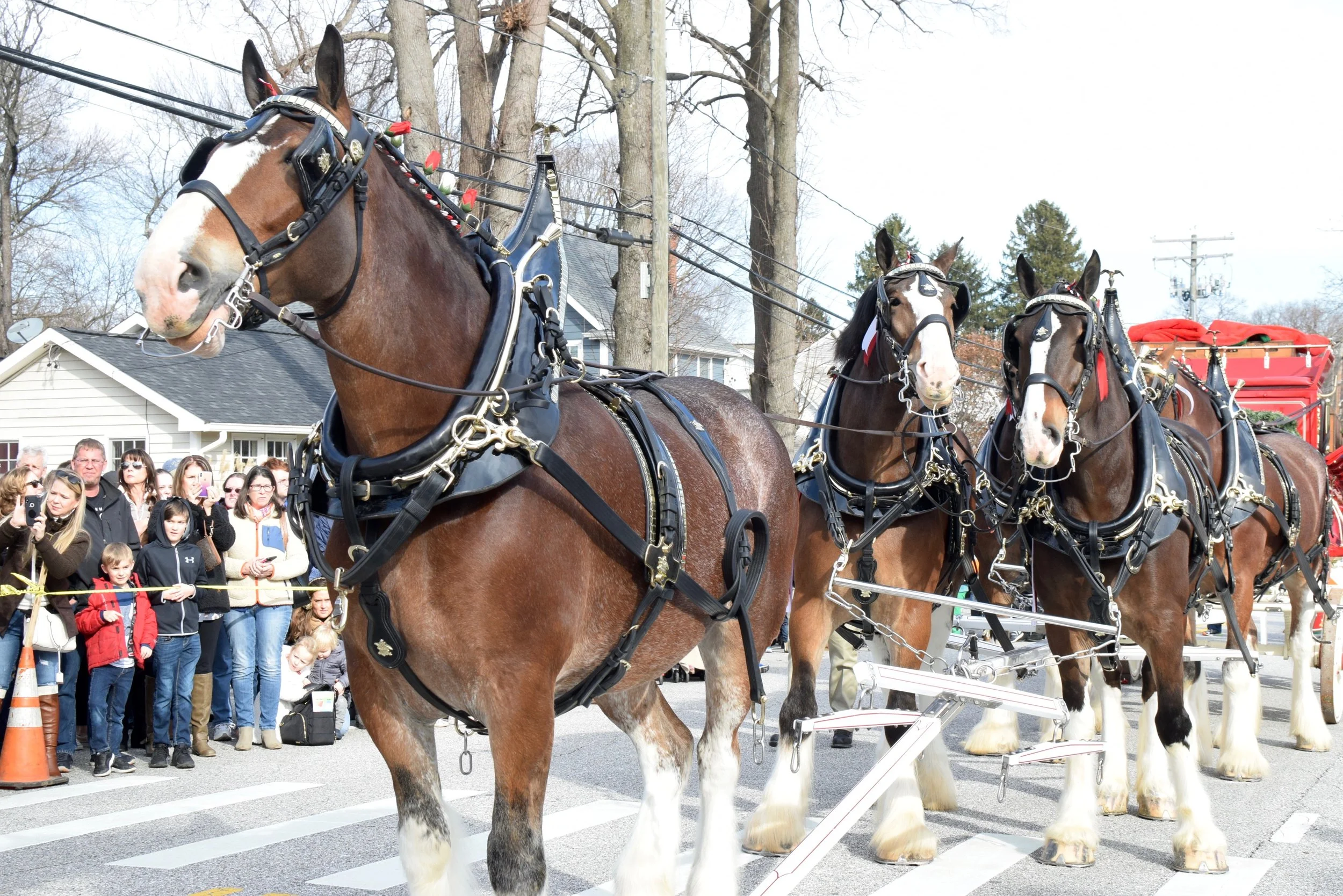 Events — West Annapolis Business Association