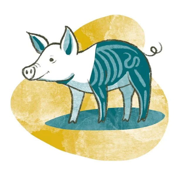 Animal Dissection — Animalearn