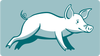 Animal Dissection — Animalearn