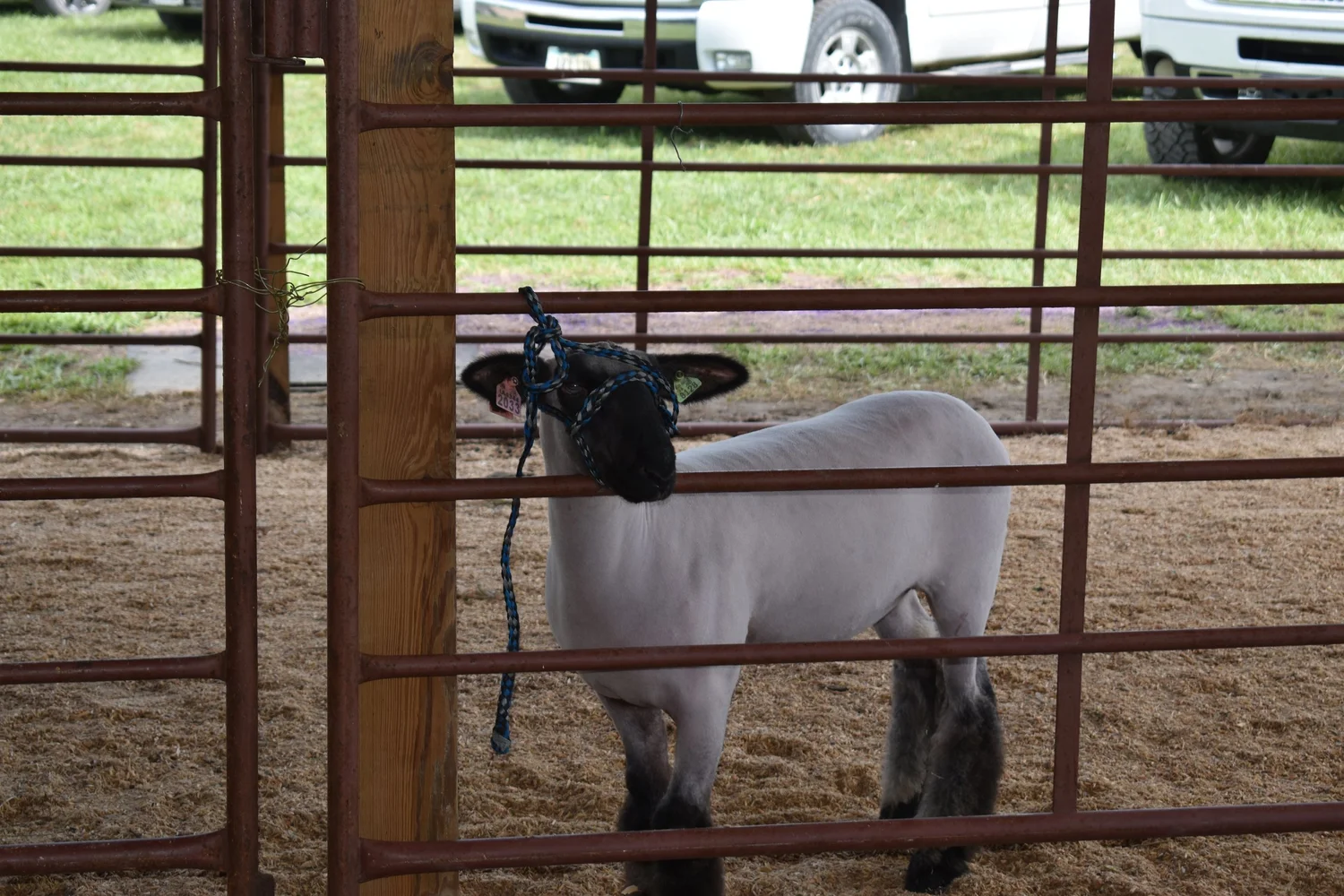 Photo Gallery — Westfair Fairgrounds and Amphitheater