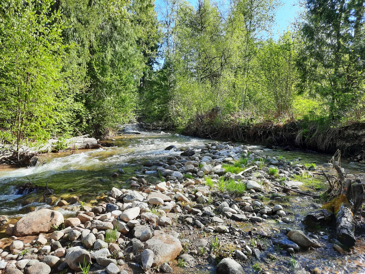 Riparian Areas Assessments and Waterfront Development Permits for ...
