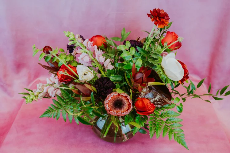 Fox & Fern FLOWERS & PLANTS! | Discover Beautiful Flowers and Plants Today