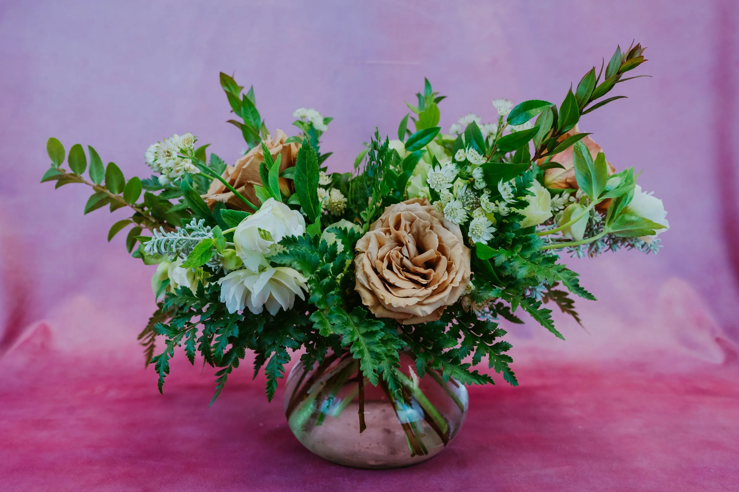 Fox & Fern FLOWERS & PLANTS! | Discover Beautiful Flowers Today