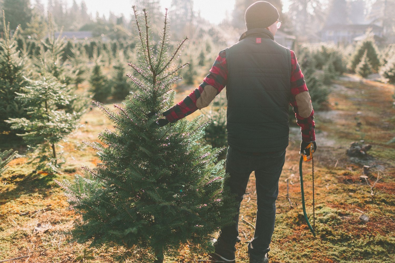 Our Story — Menefee Tree Farm