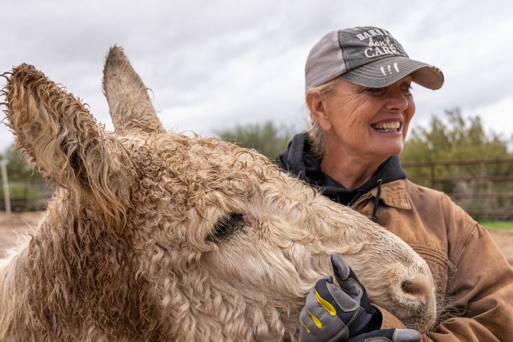 Hangry Donkey Ranch, Rescue, & Sanctuary