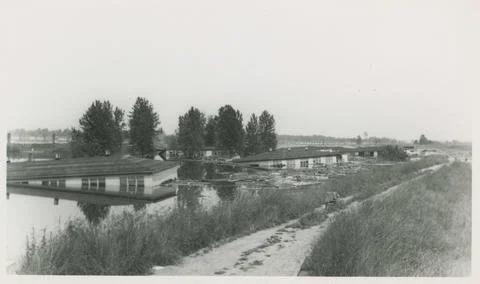 Vanport: The City That Washed Away – A Lost Chapter in Portland’s ...
