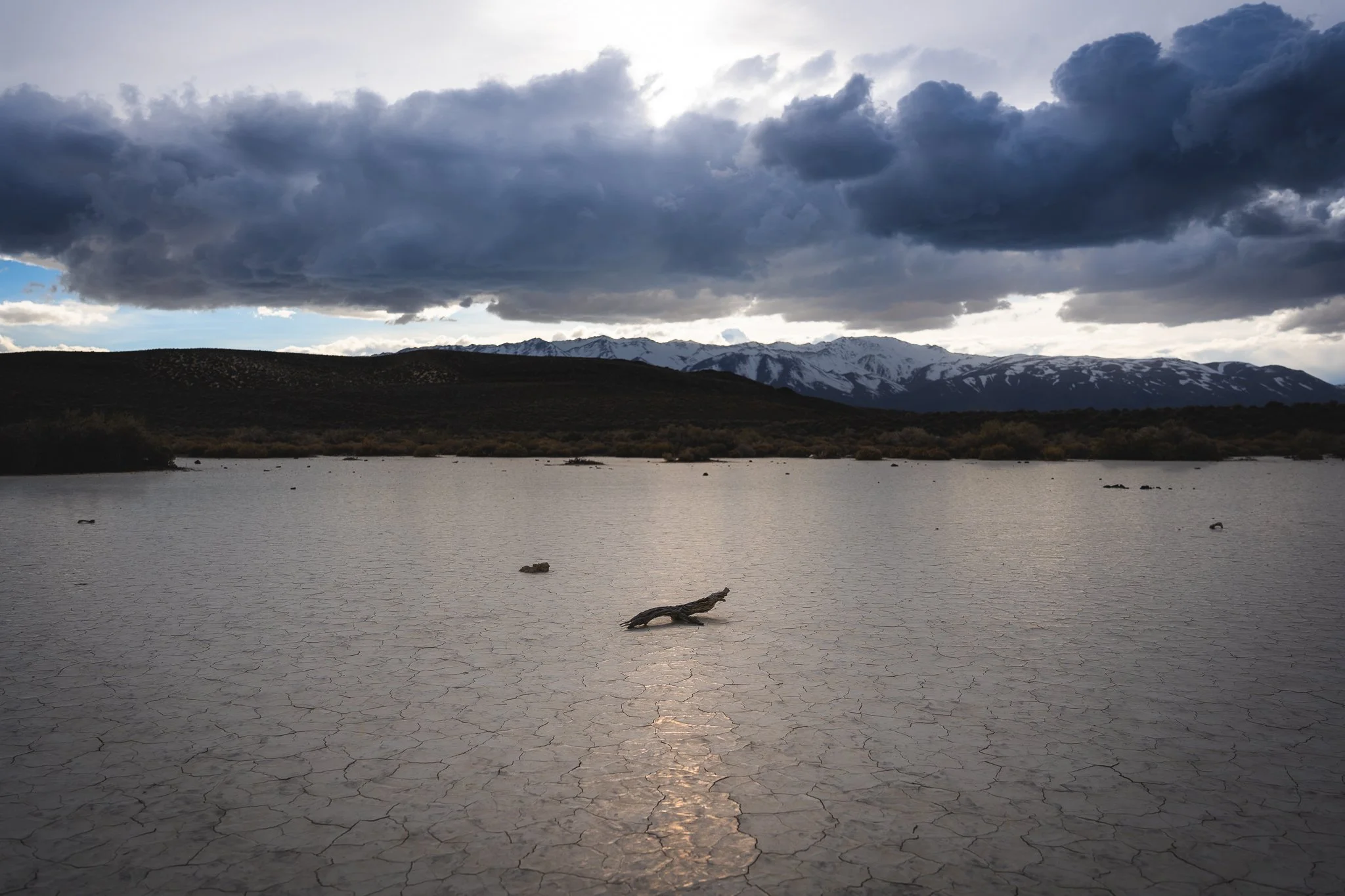 Mitchell Alexander Photography