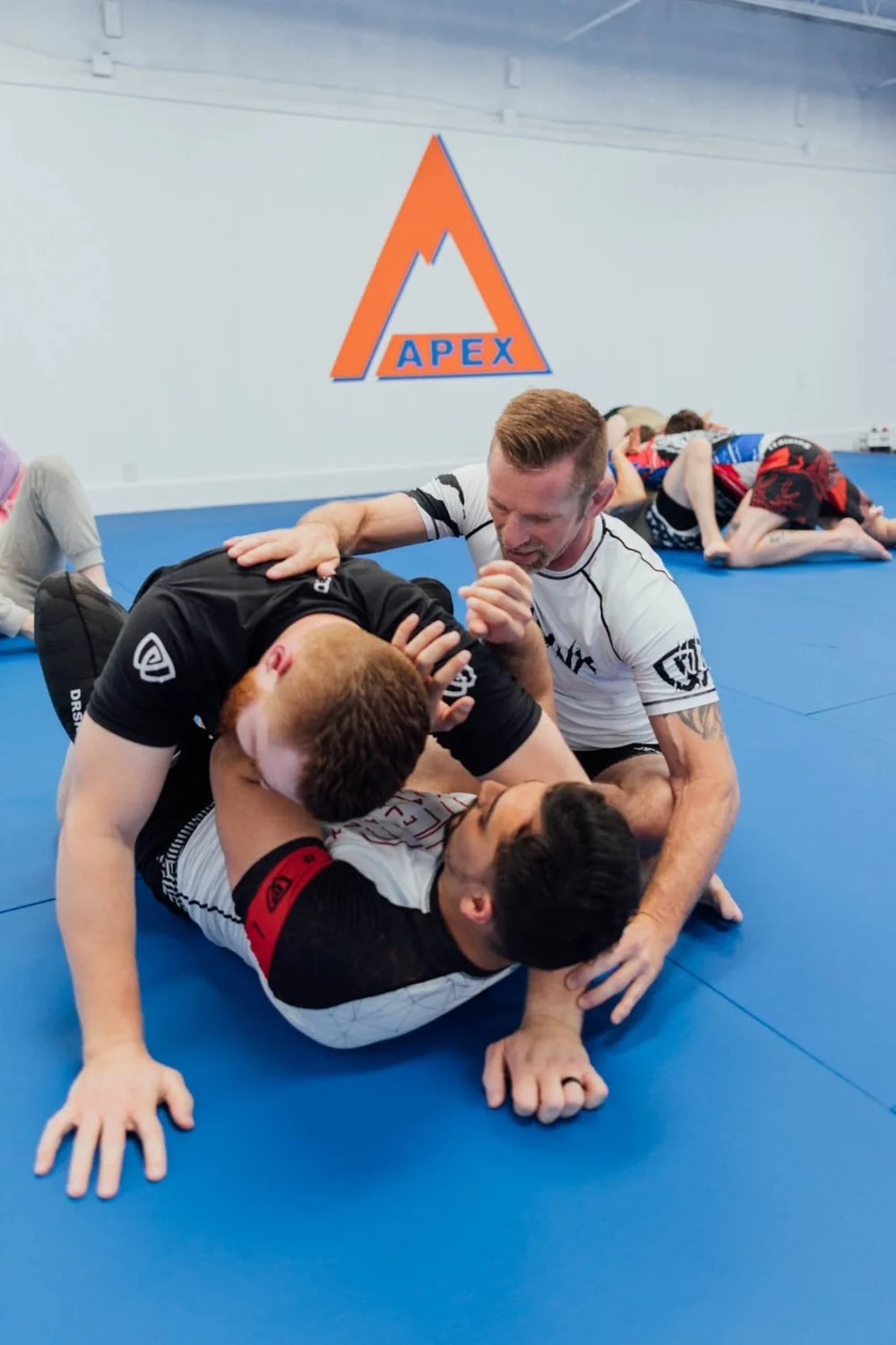 Apex Jiujitsu TN