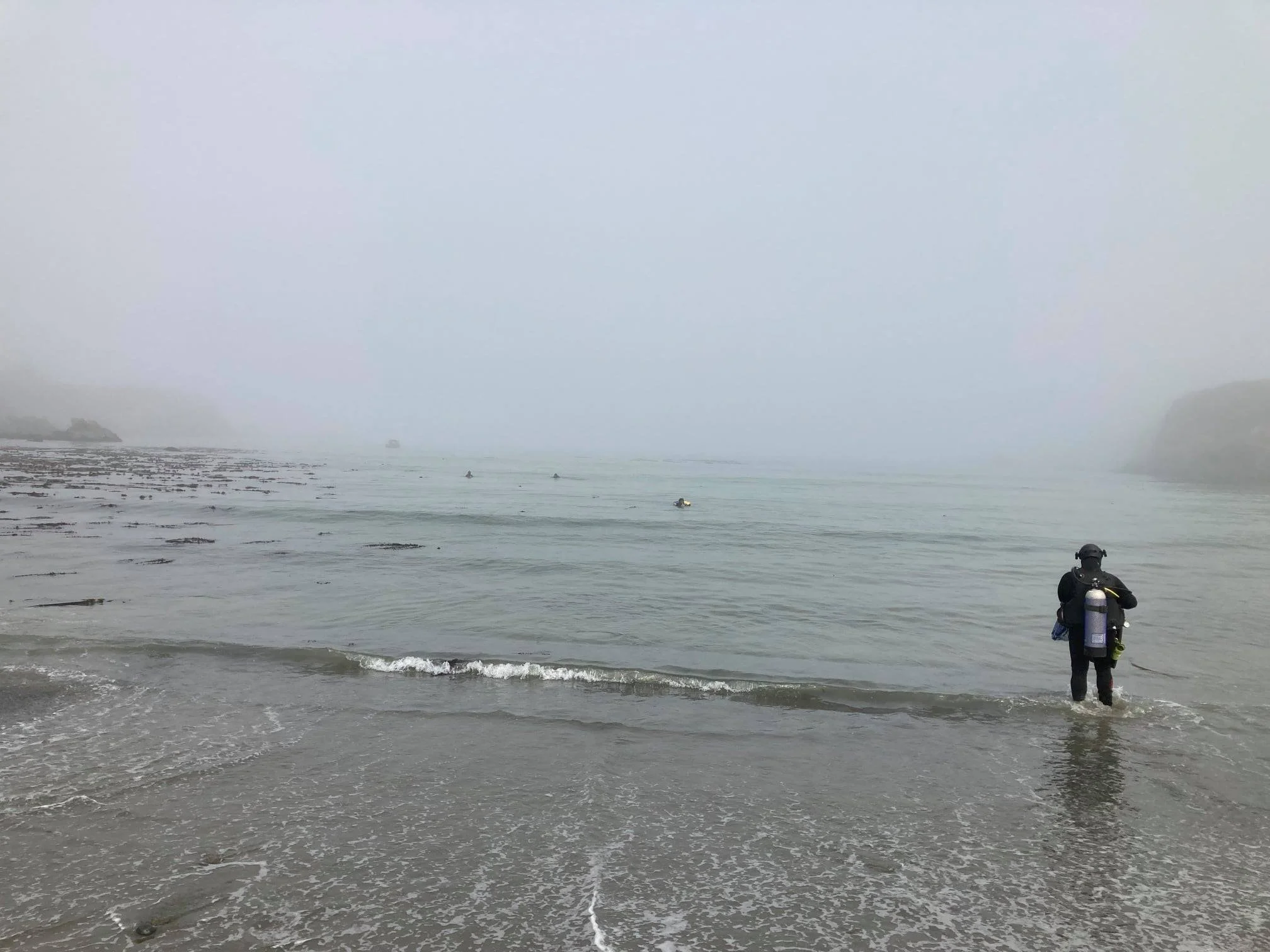 The Caspar Cove Project