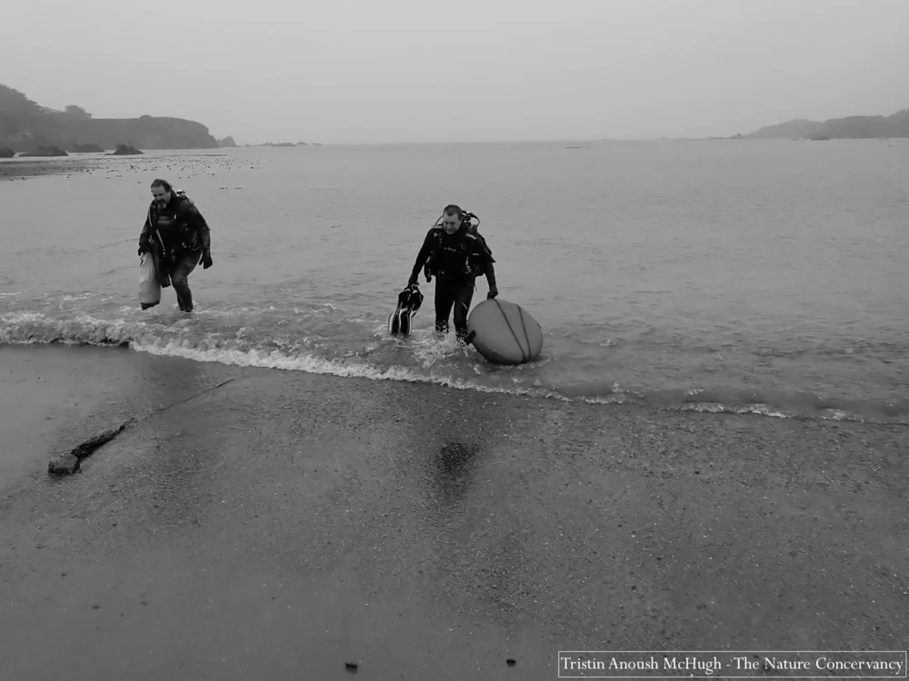 General 6 — The Caspar Cove Project