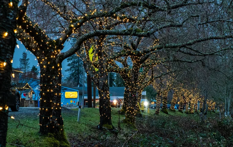 General 2 — Fall City, Washington