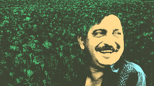 Chico Mendes De Seringueiro A Patrono Do Meio Ambiente Comitê Chico