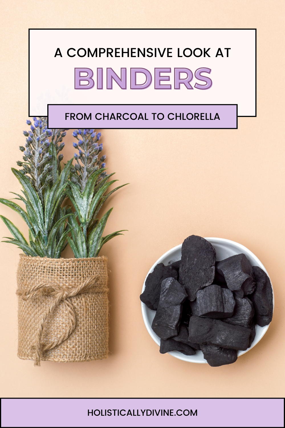 From Charcoal to Chlorella: A Comprehensive Look at Binders ...