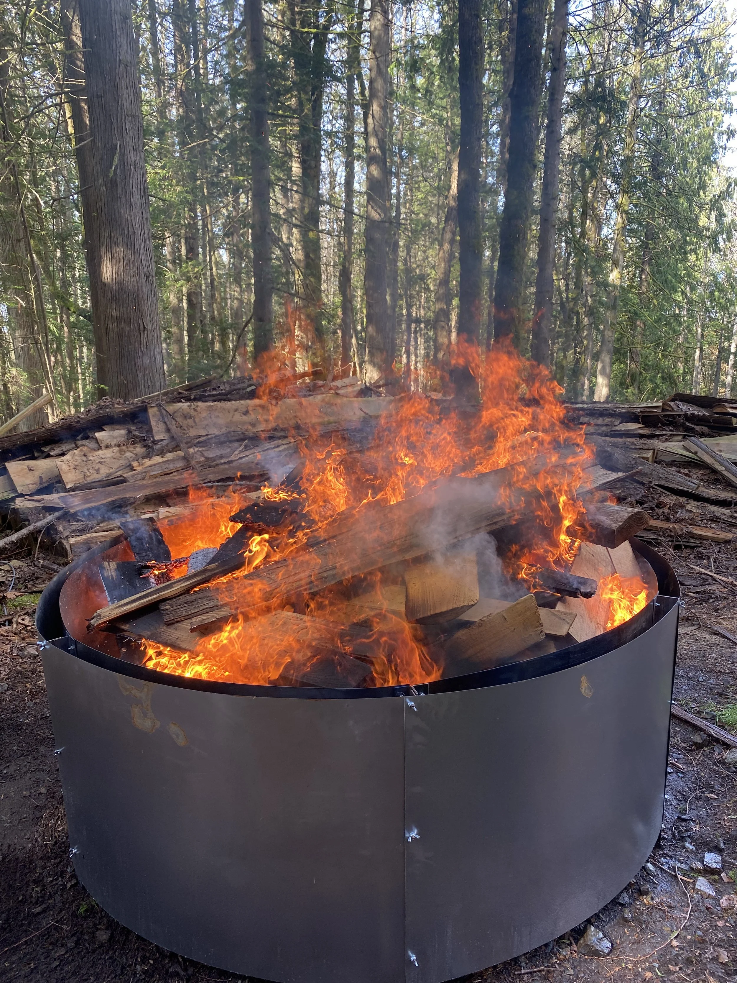 Community Biochar | Join Biochar Conservation Today — Kulshan Carbon Trust