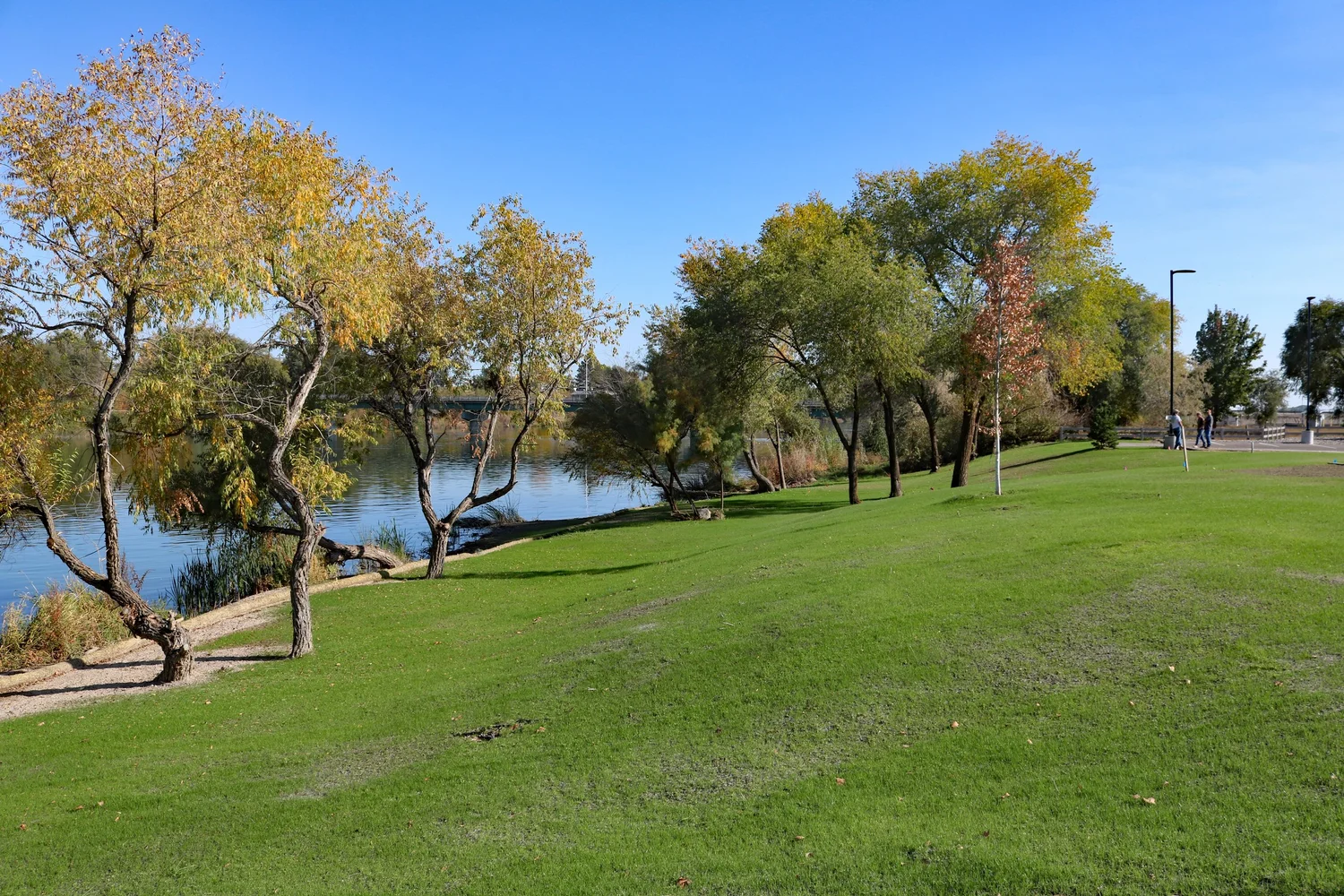 Things to Do — Shady Lane RV Park