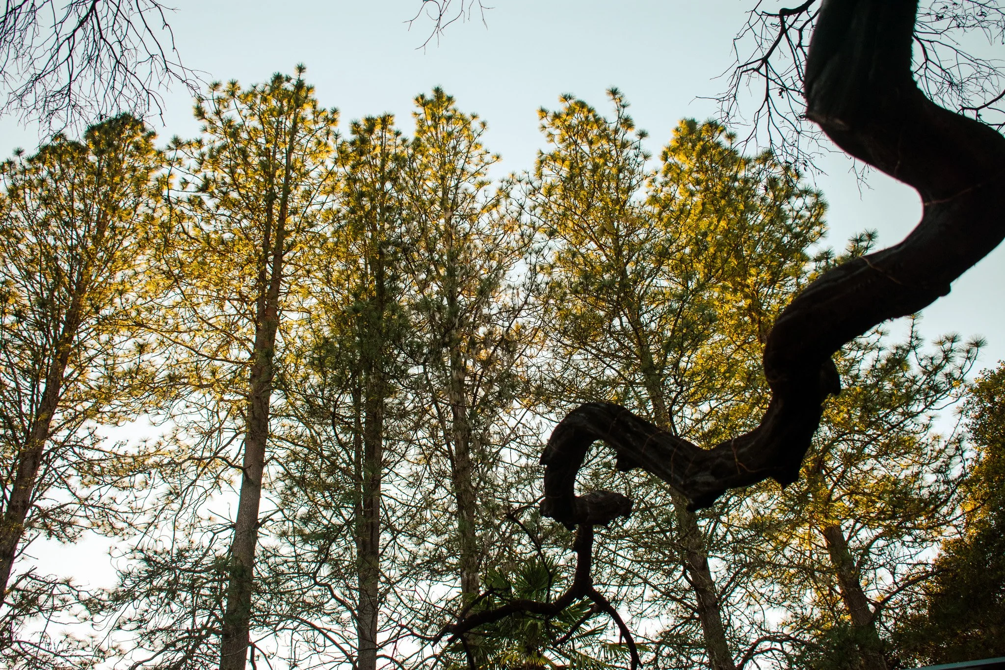 GALLERY — Anderson Valley Inn