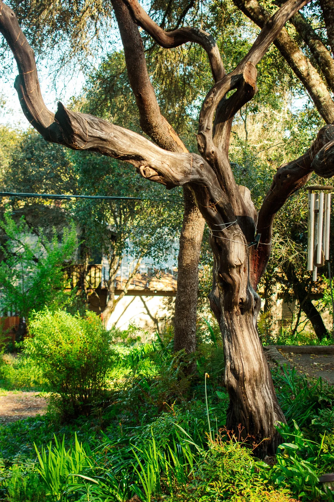 GALLERY — Anderson Valley Inn