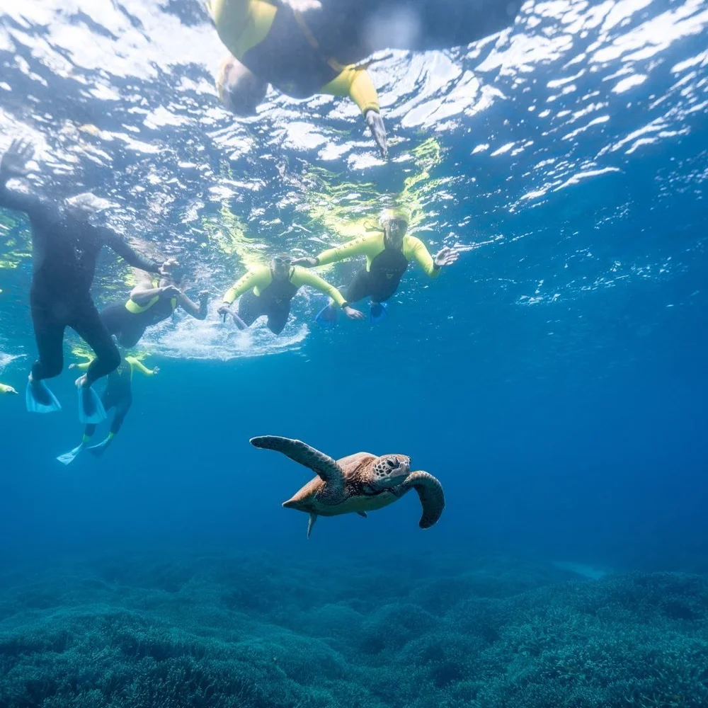 Salties Benefits — Bondi Salties